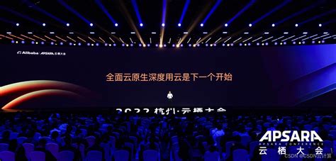 阿里进入“全面云原生深度用云”阶段 paas支出占用云总成本43 paas 应用资源计算费用 csdn博客