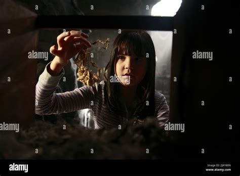 Dont Be Afraid Of The Dark 2010