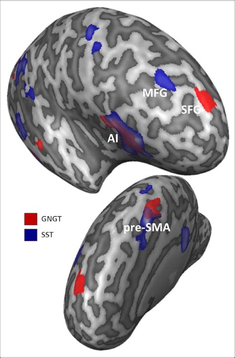 Increased Cortical Activation Associated With Successful Inhibition