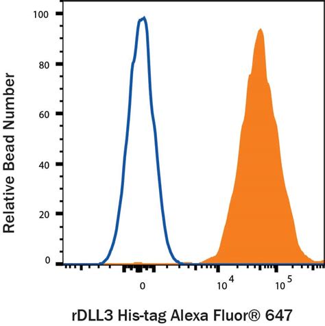 Dll3 Protein Atlas At Bryan Riggs Blog
