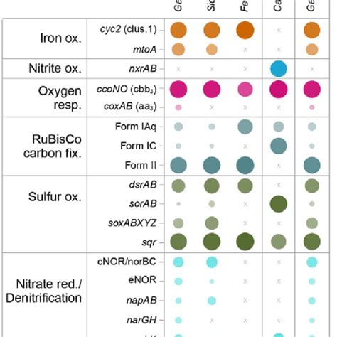 Plot Showing The Percent Of Genomes In Each Genusgroup With Genes For