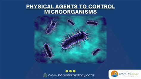 Physical Agents To Control Microorganisms Best Biology