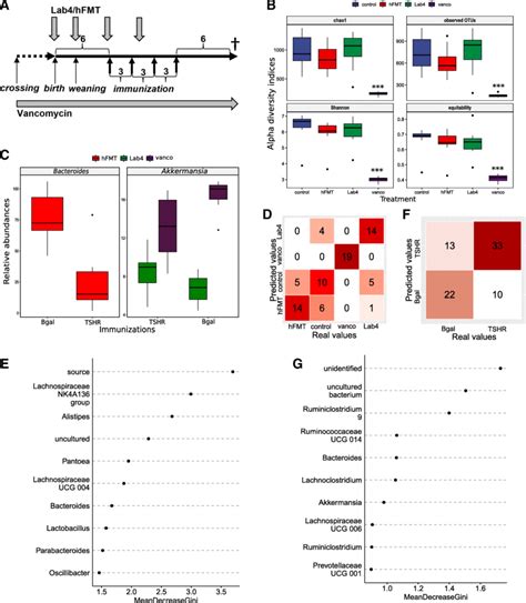 Early Life Manipulation Treatments Modified The Lower Gastrointestinal