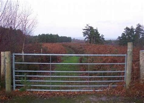 1170mm Galvanized Steel Farm Gates Rustproof Livestock 12 Foot Metal