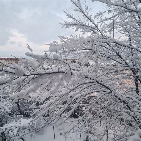 Costea Radu Radu Victor • Threads Say More