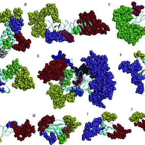 Conformational B Cell Epitopes Prediction For The Final Multi Epitope