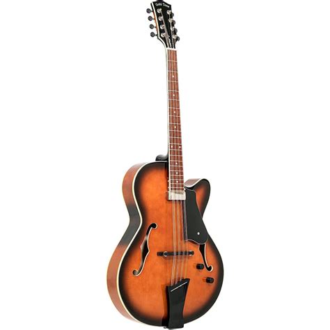 Gold Tone Electric Guitar 8 String Natural Mandocello Your