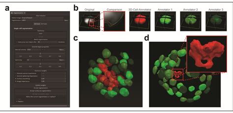 A 3d Cell Annotator Gui B Confocal Single Cell Dataset Annotated