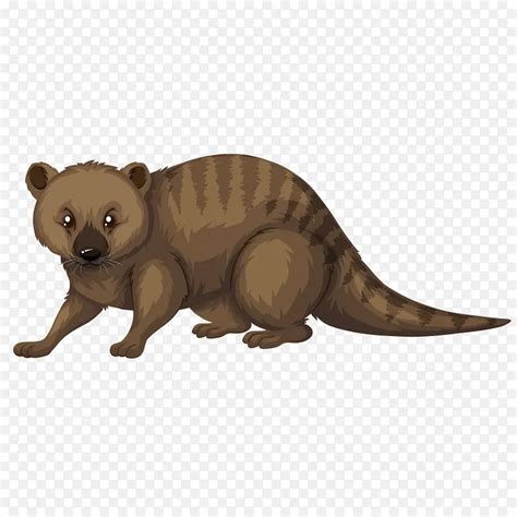 矢量黄鼠狼png图片素材下载图片编号qkxjmzby 免抠素材网