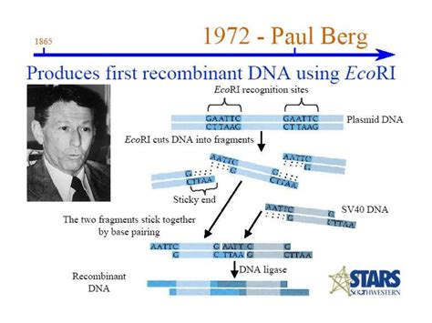 Genetic Engineering Transformation Pptx