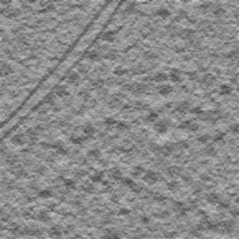 Picking Ribosomes Pytme Documentation