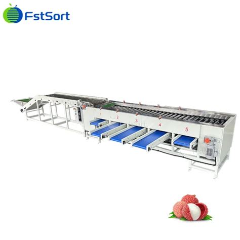 Litchi Lychee Grading Machine Cherry Tomato Sorting Grading Machine Fruits Classifying Sorter