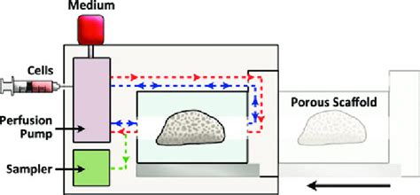 Clinical Bioreactor For Bone Tissue Engineering The Principal Download Scientific Diagram