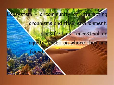 Types Of Ecosystemspptx