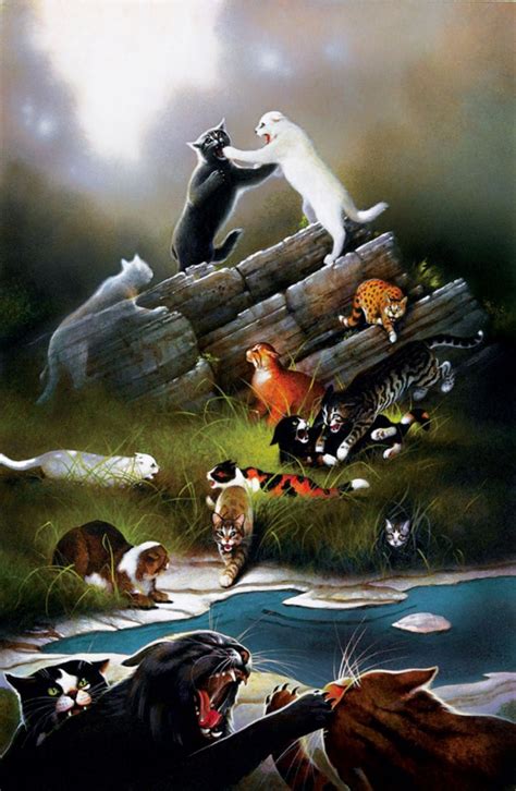 Battle For Sunningrocks Se Warrior Cats Skirmish Warrior Cats