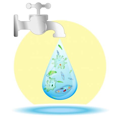 Microbios En Gota De Agua Sucia 2023