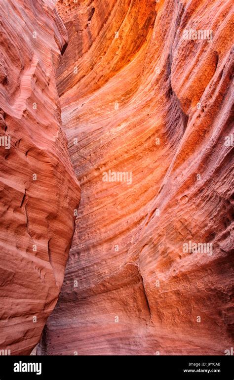 Wire Pass Slot Canyon Paria Canyon Vermilion Cliffs Wilderness Area