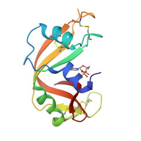 Rcsb Pdb 1jvu Crystal Structure Of Ribonuclease A Complexed Form