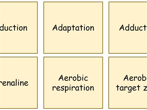 Gcse Pe Keywords Flash Cards Edexcel 2016 Teaching Resources