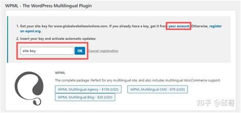 如何翻译您的 Woocommerce 商店（2 种方式） 知乎