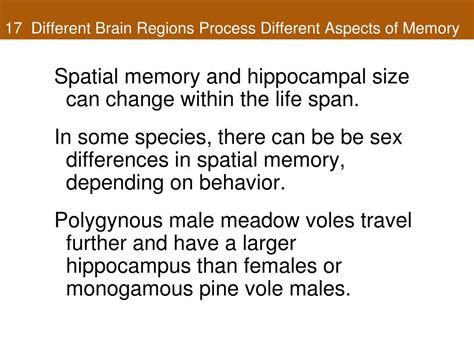 Ppt Learning And Memory Powerpoint Presentation Free Download Id