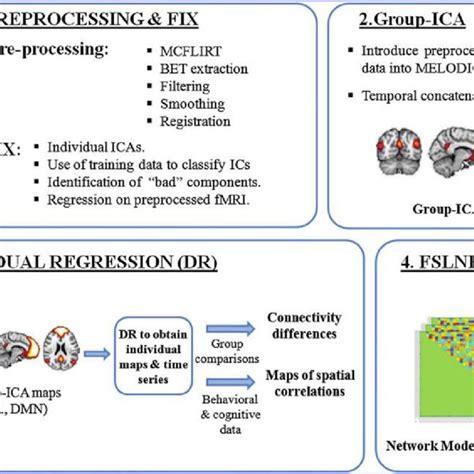 imaging data preprocessing and analysis summary color image is