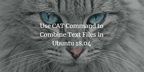 Use Cat Command To Combine Text Files In Ubuntu 1804 Vitux