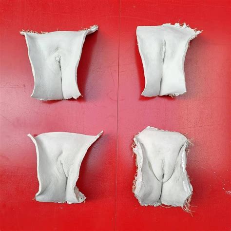 Sex Ed On Linkedin Documenting Genital Diversity The How Part 1