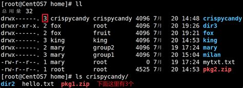 Linux Ll指令每行的含义linux Ll 详解 Csdn博客