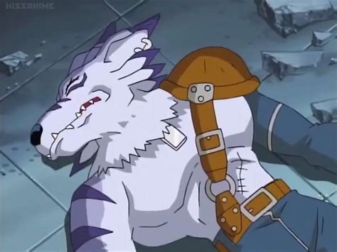 No Context Weregarurumon R Digimon