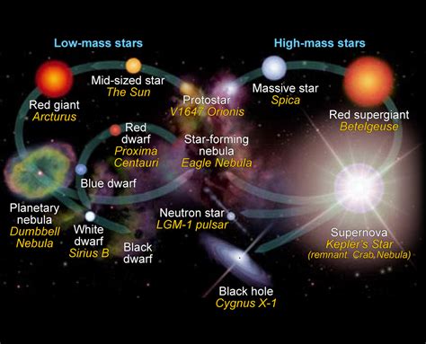 H R Diagram And Star Life Cycles Astronomy Lab Course Hero