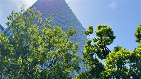 Clean The Sky Energy Management Initiatives