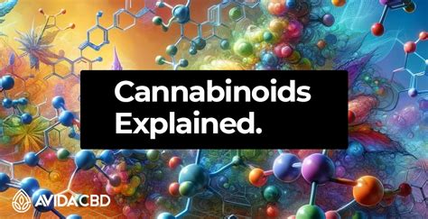 The Ultimate Cannabinoid Glossary Explained Unlocking The Hemp World Avida Cbd