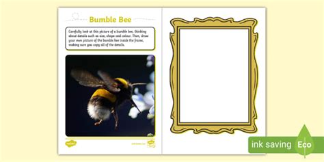 New Bumble Bee Drawing Activity Ks1 Art
