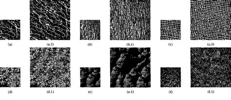 Figure 1 From Nonparametric Markov Random Field Model Analysis Of The