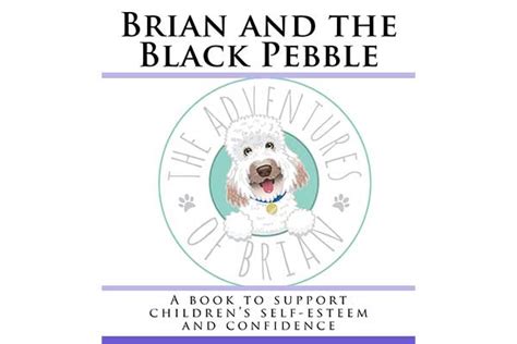 Brian And The Black Pebble Dandelion Training And Development