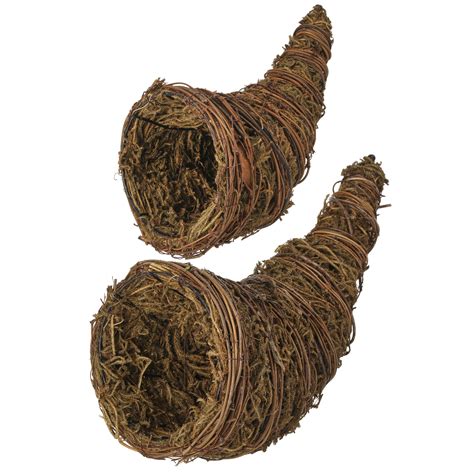 Ophelia And Co Vinemosstwig Cornacopia Wayfair