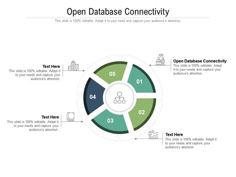 Open Database Connectivity Ppt Powerpoint Presentation Outline Display Cpb Presentation
