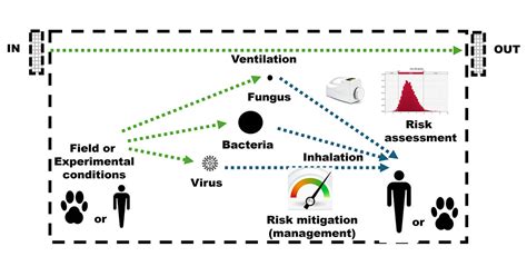 Pathogens Special Issue Airborne Transmission Of Pathogens