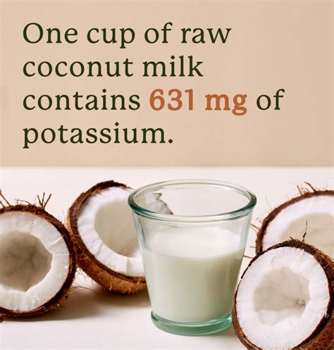Coconut Milk Potassium At Blair Martin Blog