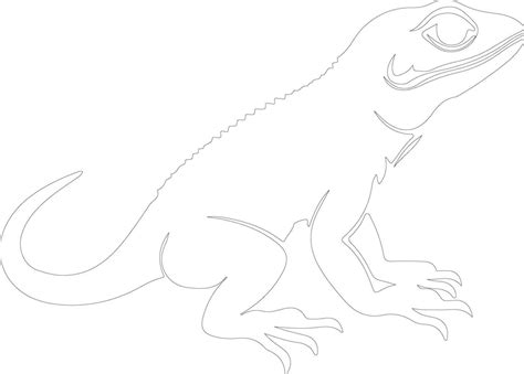 Lizard Outline Silhouette 38492768 Vector Art At Vecteezy