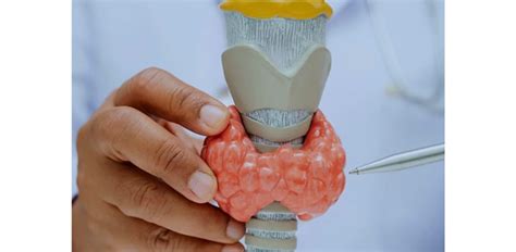 Near Infrared Tool Improves Gland Detection In Thyroid Surgery Conexiant