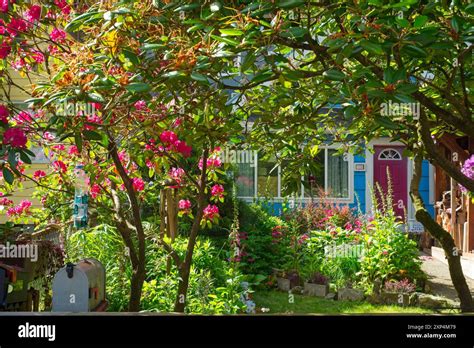 A Beautiful Front Yard Cottage Garden Fills A Small Area With Flowering