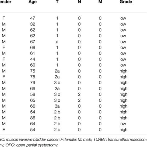 Clinical Information Of Mibc And Nmibc Patients In Our Study