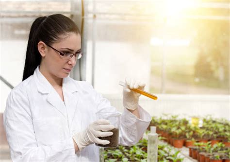 47 500 Biologiste Photos Taleaux Et Images Libre De Droits Istock