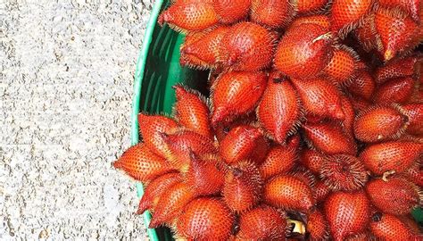 Top Health Advantages Of Snake Fruit Salak You Should Know