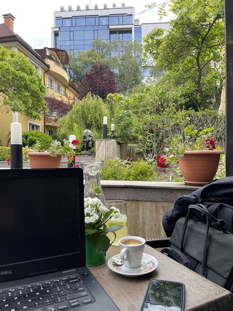 Nikola Milovic On Linkedin Office View Maison Sofia Mgallery Collection