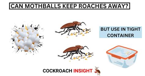 How Much Does Roach Exterminator Really Cost