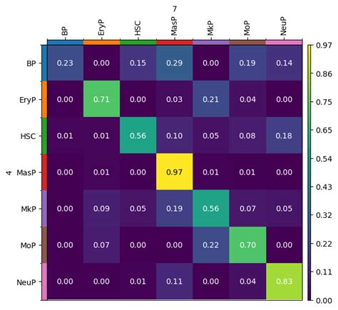 Cell Transitions Moscot Documentation