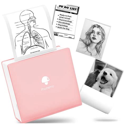 20 Ideas For Decorating Your Halloween T Baskets Phomemo